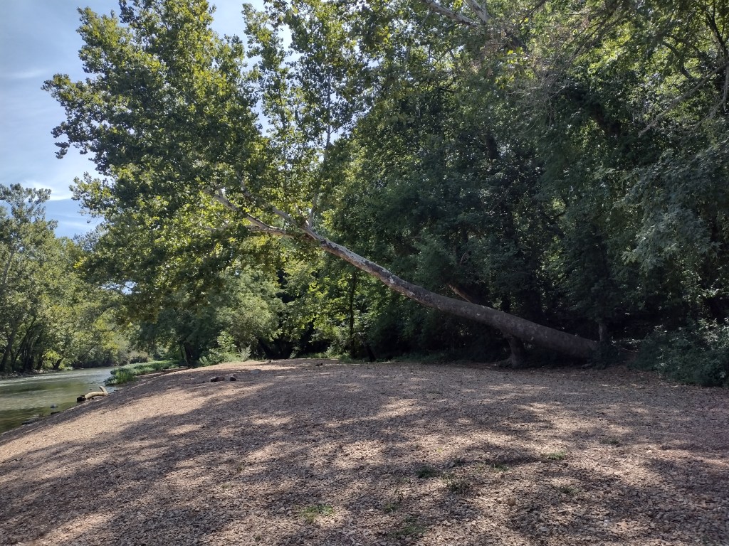 Tamed Along Life Trails – Tamed by places, actions, people; now needed ...